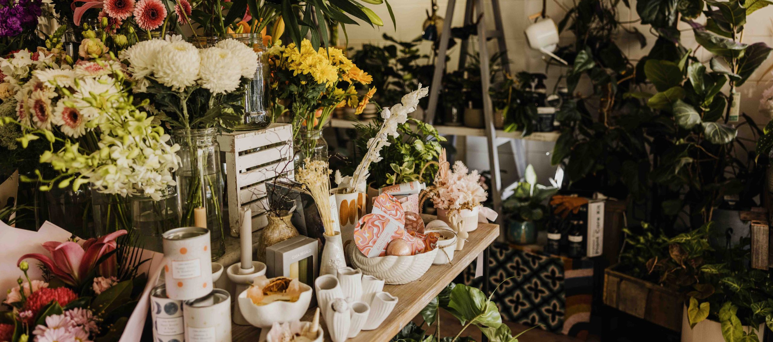 Contact Us - Wild Botanix Flower and Plant Shop