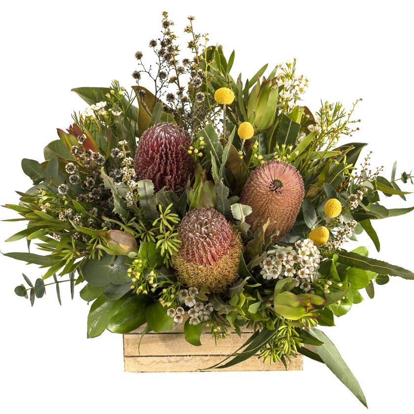 Wild Botanix Florist and Gift Shop | Perth, WA