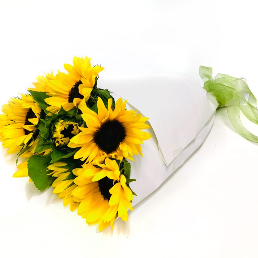 Flowers Archives - Wild Botanix Flower and Plant Shop