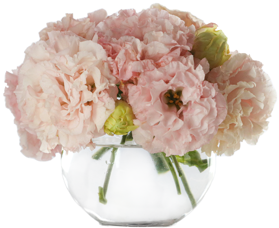 Wild Botanix Florist and Gift Shop | Perth, WA